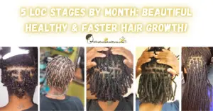 5 Loc Stages by Month: Beautiful healthy & Faster Hair Growth!