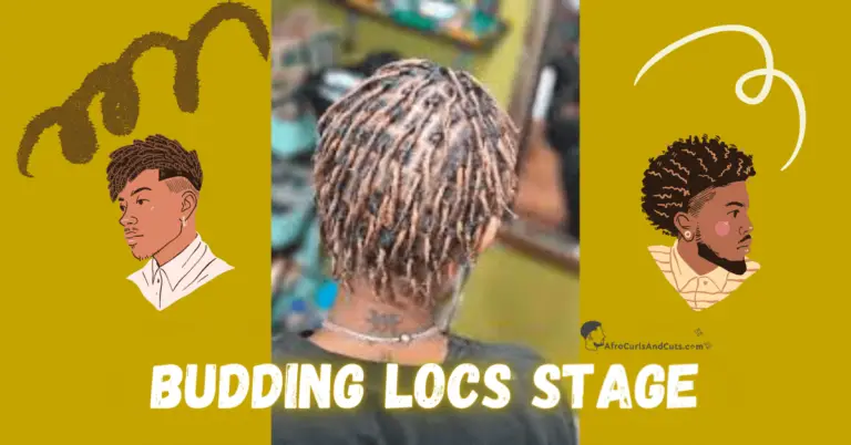 5 Loc Stages by Month: Beautiful healthy & Faster Hair Growth!