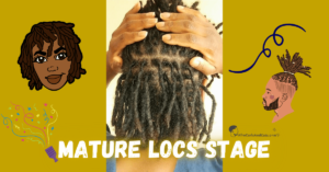 5 Loc Stages by Month: Beautiful healthy & Faster Hair Growth!
